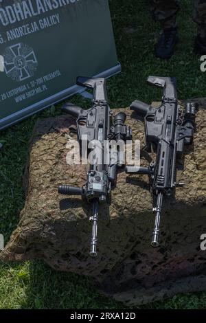 Small arms of Polish soldiers, GROT and BERYL assault rifles, Military ...
