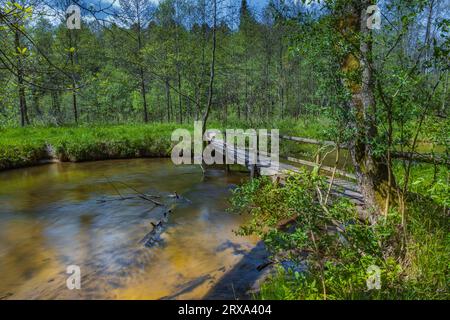 Nad Tanwia Nature Reserve, The gorge of the Tanew River, Sopot River ...