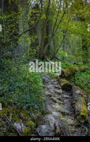 Czartowe Pole Nature Reserve, The gorge of the Devil's Field ...