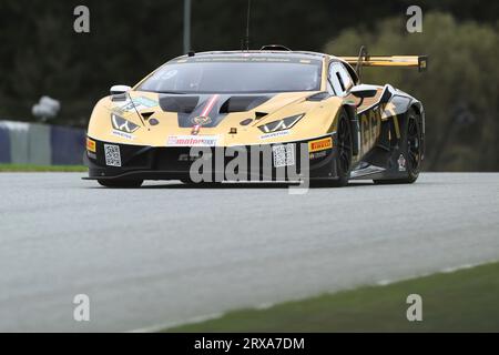 DTM Spielberg 2023, #6 Lamborghini Huracán GT3 Evo2, SSR Performance ...