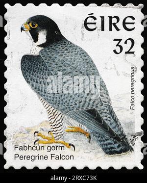 Peregrine falcon on irish postage stamp Stock Photo - Alamy