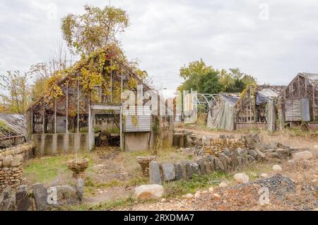 Greenhouse area at St. Elizabeths Mental Hospital in Washington DC ...