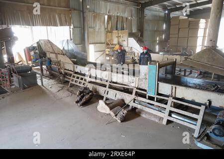 The sawdust processing production line is located in a board ...