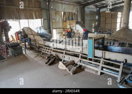 The sawdust processing production line is located in a board ...