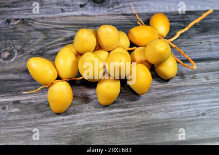 Yellow Barhi dates, botanically classified as Phoenix dactylifera ...