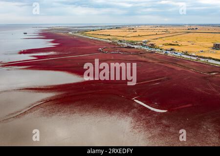 Aerial photo shows the red beach in Qingdao City, east China's Shandong ...