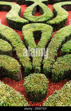 Hedges cut in decorative forms Stock Photo - Alamy