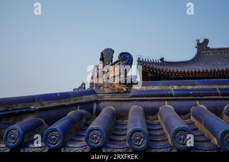 Purple Chinese glazed roof tile of the Temple of Heaven in Beijing ...