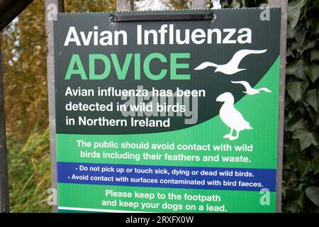 avian influenza warning signs and advice near lough neagh Northern ...