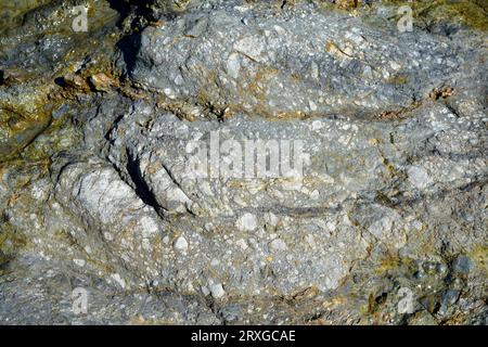 Fault breccia or tectonic breccia. This photo was taken in Cap Ras ...