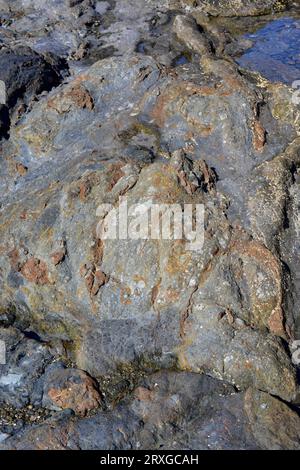 Fault breccia or tectonic breccia. This photo was taken in Cap Ras ...