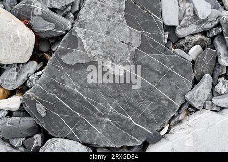 Limestone fragments with calcite veins. Saint Jean de luz, Aquitaine ...