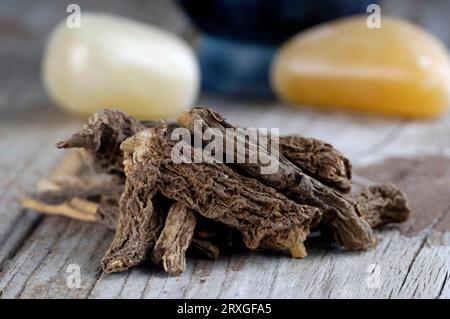 Costus roots (Saussurea costus), Indian costus root, Ayuverdic woods ...