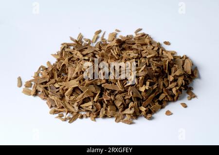 Ceylon Cinnamon bark (Cinnamomum zeylanicum) (Cinnamomum verum ...