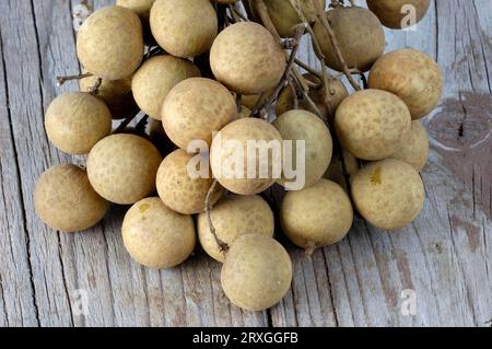 Dragon eye fruit (Euphoria longanm) (Nephelium longana), Lungan Stock ...