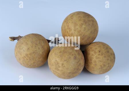 Dragon eye fruit (Euphoria longanm) (Nephelium longana), Lungan Stock ...