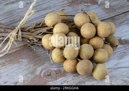 Dragon eye fruit (Euphoria longanm) (Nephelium longana), Lungan Stock ...