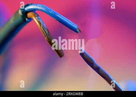 Electric wire and smoke is meant to symbolize blown insulation or ...