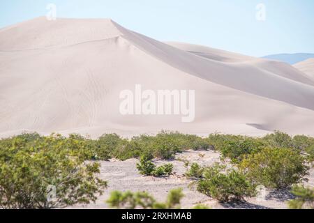 Big Dune Recreation Area features sand dunes near Las Vegas, NV, USA ...