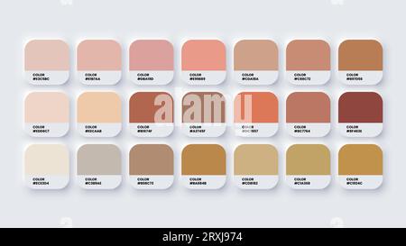 Color palette guide in Digital colour theme collection. Color ...