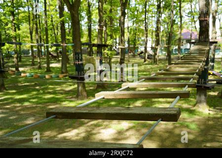 Adventure climbing on high wired park. Course of high ropes in forest ...