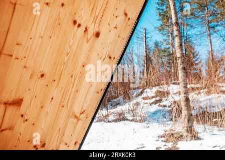 Pinewood wall covering and view of pine tree woods through the window ...