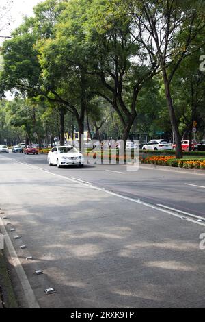 Chapultepec Park Avenue Walkway - Mexico City, Mexico Stock Photo - Alamy