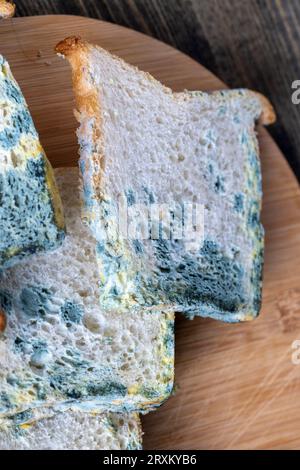 dangerous pieces of bread covered with mold on the table, a loaf of ...