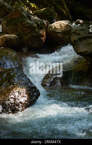 Mountain river with rapids and pristine azure water flowing fast among ...