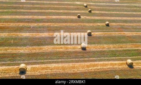 Power of Water: A Rain-Induced Gully Shapes the Green Landscape Stock ...