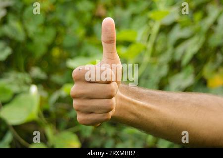 Like it. Thumb up with natural bokeh background of leafy green forest ...