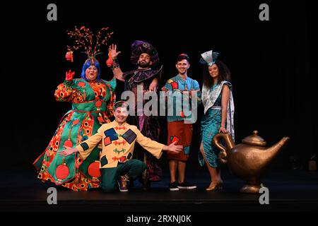 Will Aladdin save the day? Will Princess Jasmine get her way? Will the ...