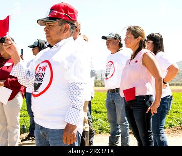 Harris for President campaign manager Julie Chavez Rodriguez arrives to ...