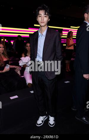 Karry Wang attends the Christian Dior Spring/Summer 2024 womenswear ...