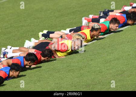 Japan's Michael Leitch during a training session at the Aviva Stadium ...