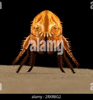 3D illustration of a detailed flea: SEM Electron Microscope Replica in ...