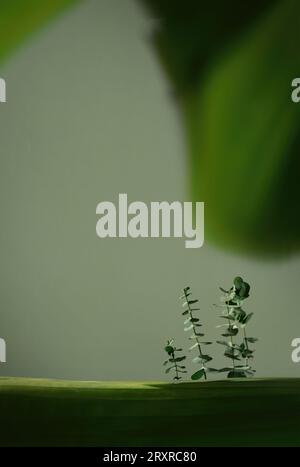 Simple backgrounds for products showcase, hi res images Stock Photo - Alamy