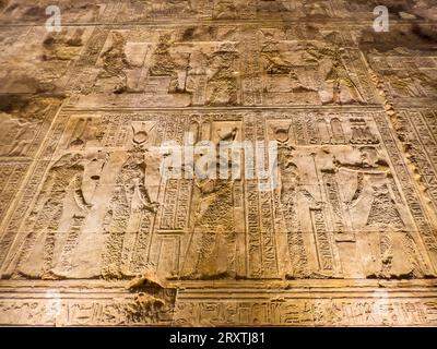 Interior view of the reliefs inside the Temple of Hathor, Dendera Temple complex, Dendera, Egypt ...