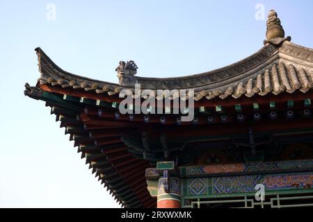 Thousand-year-old trees in Chinese gardens Stock Photo - Alamy