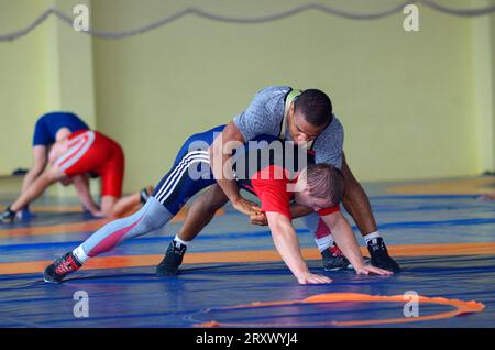 Man wrestler throwing the opponent on a wrestling mat, training ...
