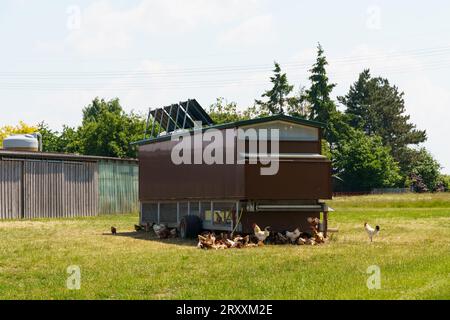 Mobile farm for growing laying hens. Mobile poultry farming Stock Photo ...