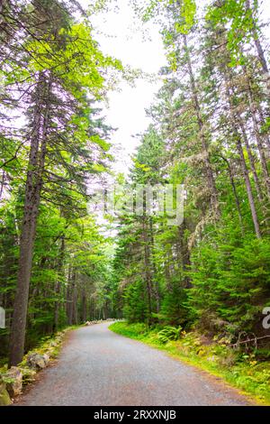 Views of plants and nature on the Carriage Trail hiking path in an ...