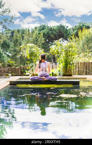 A vertical shot of purple lotus in a pond Stock Photo - Alamy