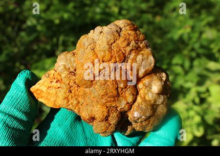 A large quartz nodule with a lumpy shape, rockhounding. Russia Stock ...