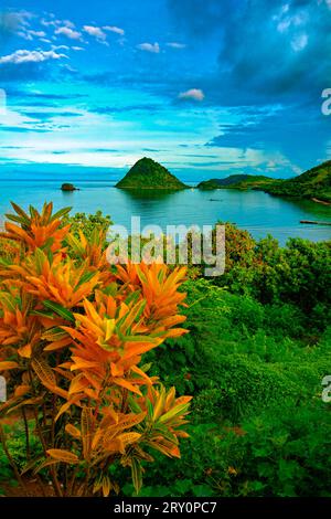 A delightful view of the sea from the hill of the island of Flores ...