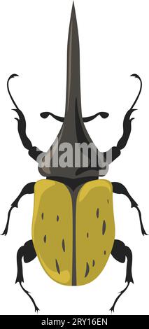Hercules beetle or bug, isolated insects species with legs and horn ...