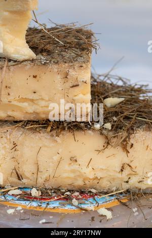 Italy, Street Food Market, Toma Cheese Matured in Hay Stock Photo - Alamy