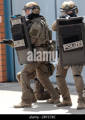 Police, Special Task Force, SEK, officer wearing full protective ...