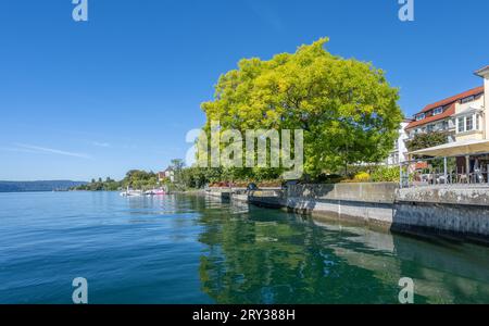 Ueberlingen on Lake Constance, lakeside promenade. Baden-Wuerttemberg ...