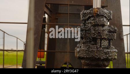 Detailed study of the stuffing box and polished rod assembly on a ...